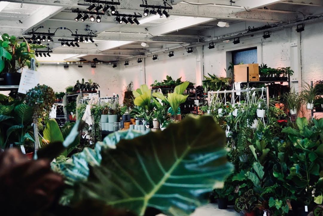 PUP Plants plant nieuwe pop-ups - PowerBlog